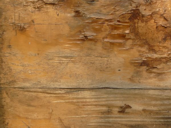 marked orange wood texture 0004 - Texturelib